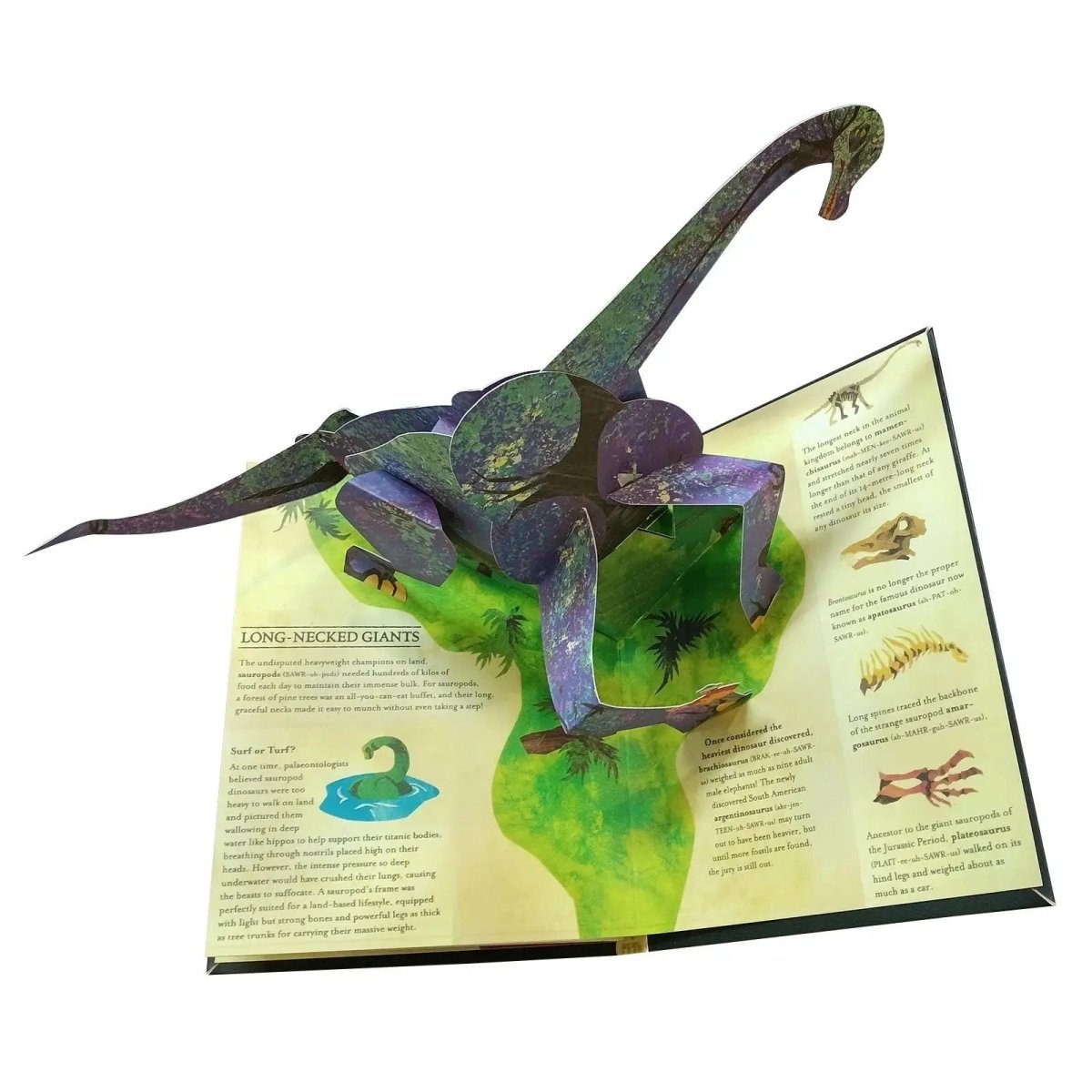 Interaktiv Barnebok Med 3D Dinosaurer For Barn – Bellezanorge